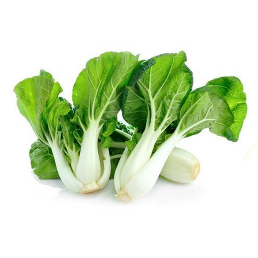 Bak Choy - St Maarten Argriculture