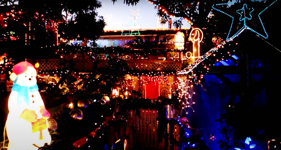 christmas-LIGHTS-WEB - St Maarten Argriculture
